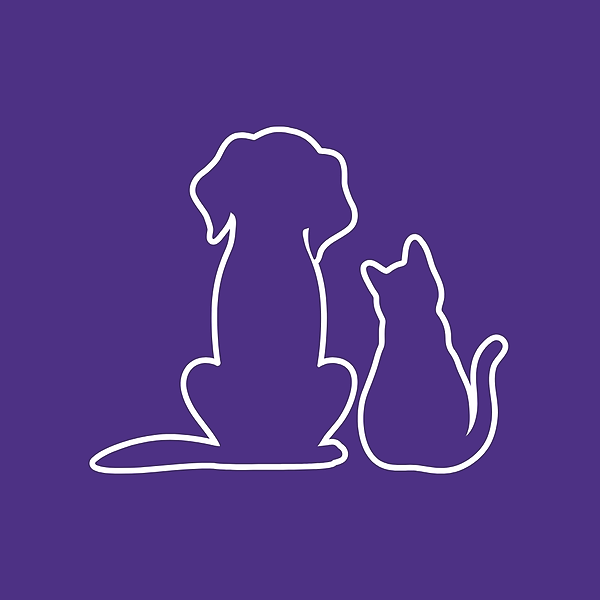 Susquehanna SPCA | Instagram, Facebook, TikTok | Linktree